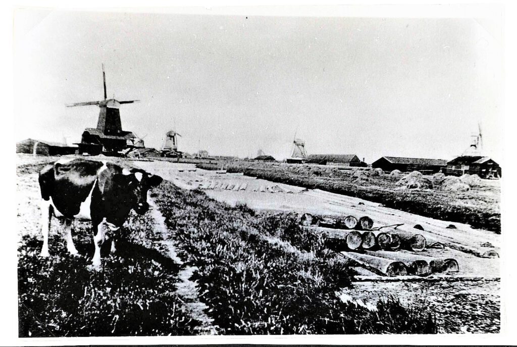 Het Papenpad en het Huiskamercafé - Historisch ZaandamHistorisch Zaandam